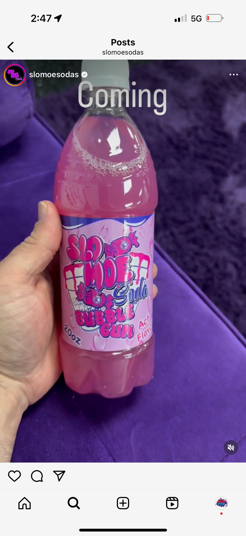Slo Moe Act Flavor Bubble Gum Soda – Exotic Pop Distribution, LLC